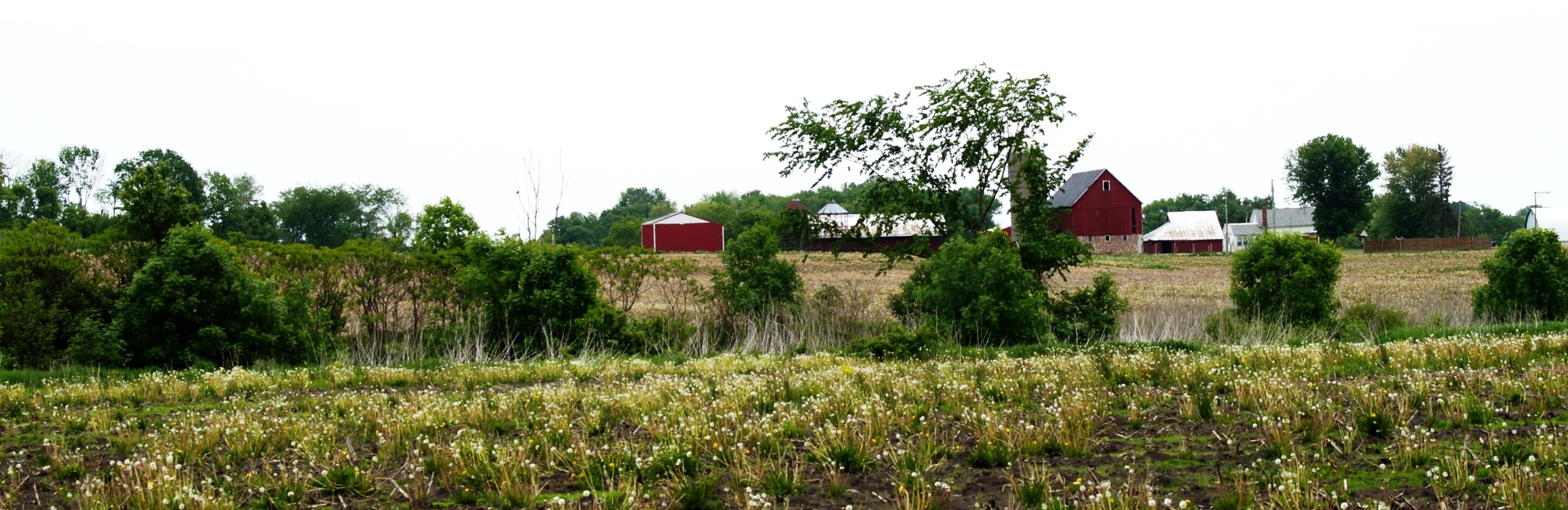 Working Lands - 1000 Friends of Wisconsin - promoting a smarter way to grow